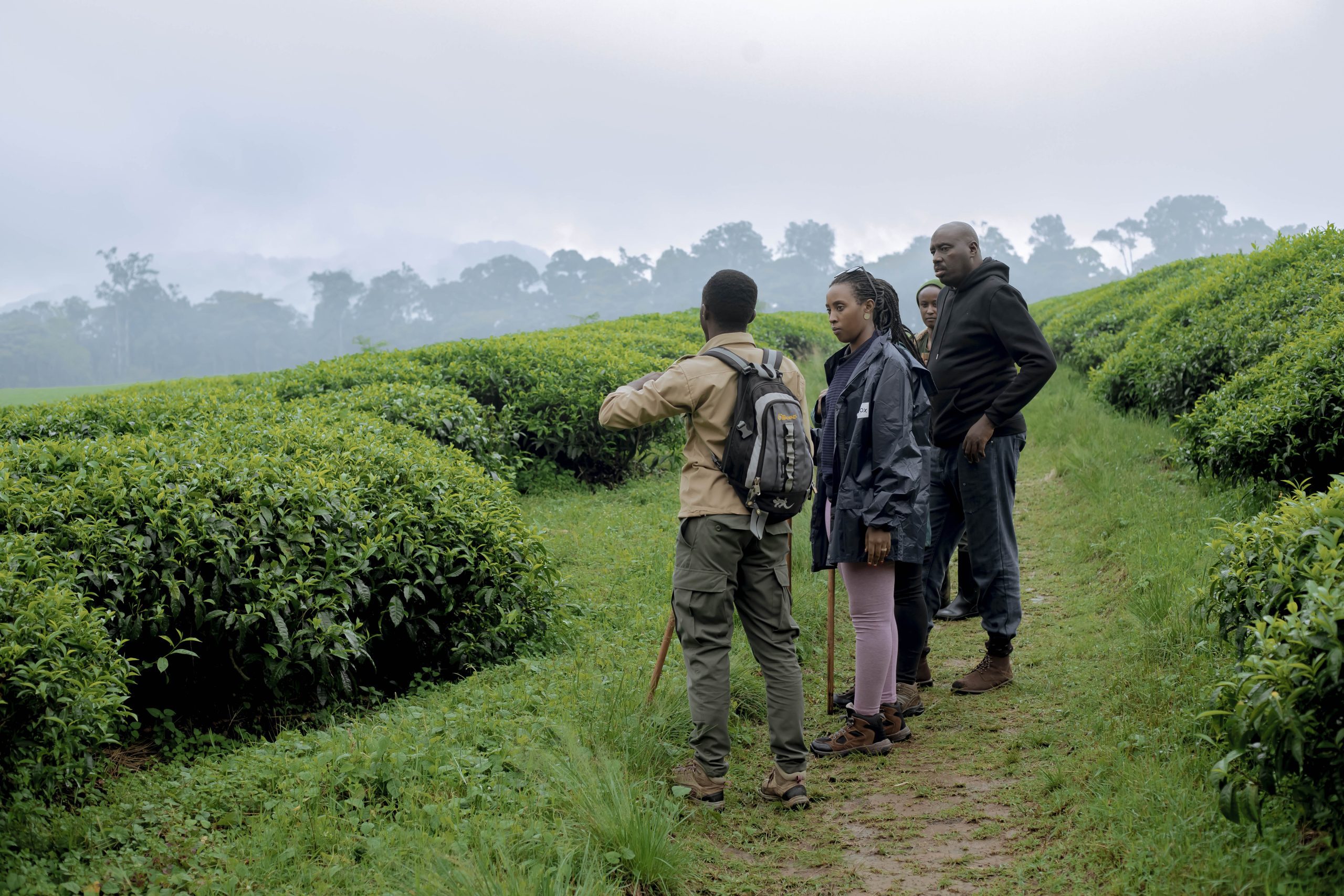 Rwanda broadens appeal with conservation and cultural experiences ...